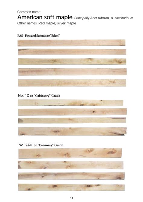 Illustrated Grading Guide Pdf