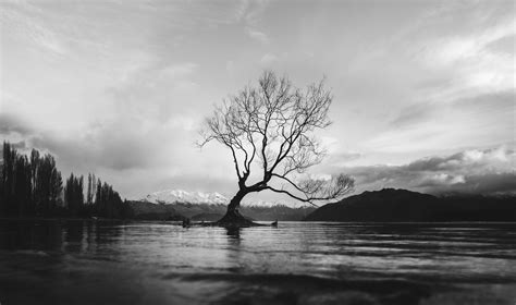 decision tree regression towards data science