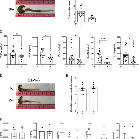 peptide mediated protection from colitis is qa 1b dependent a