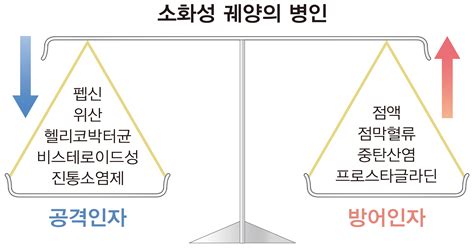 소화성 궤양헬리코박터 감염 Overview Metamedic
