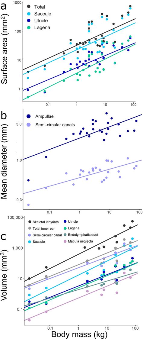 Interspecific Scaling Relationships Of Body Size And Inner Ear Download Scientific Diagram