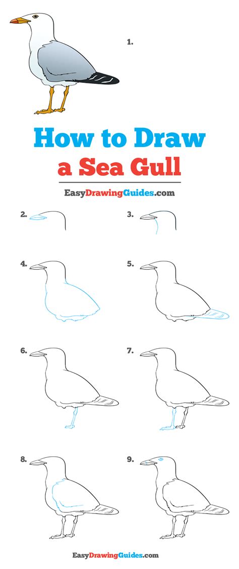 How To Draw A Seagull Really Easy Drawing Tutorial Drawing Tutorial Easy Drawing Tutorial
