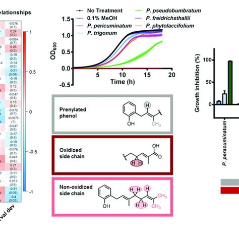 A Correlation Heatmap Of Module Eigenvalue And Bioactivity Of E Download Scientific Diagram