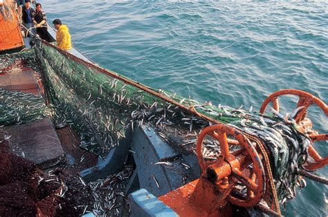 바다생물의 마지막 피난처 30는 가능할까 에코뷰 월간 『함께사는길』