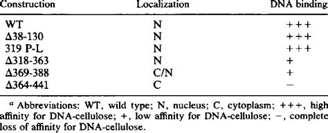 summary of subcellular localization and dna binding analyses of
