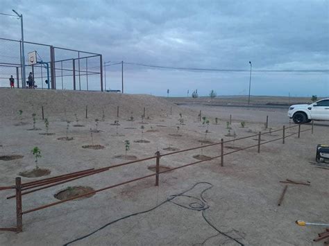 “Бүх нийтээр мод тарих өдөр” ийг тохиолдуулан Сайншанд сумын 8 р багт 100 ширхэг агч мод тарьж