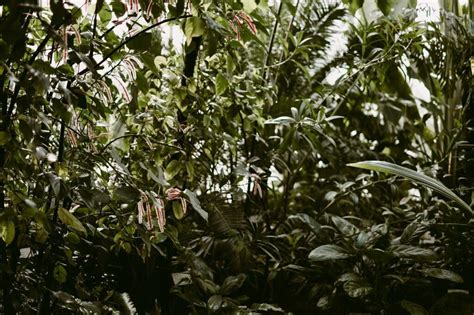 Ok So I Have A Mthfr C677t Homozygous Mutation The Blue Bride