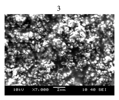 Sem Micrographs Of Chitosan Reinforced Composite Coatings Download