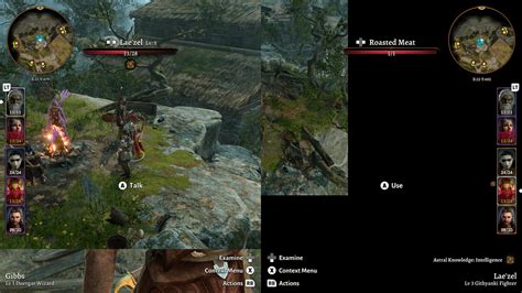 Repeating Visual Bug During Split Screen Rbaldursgate3