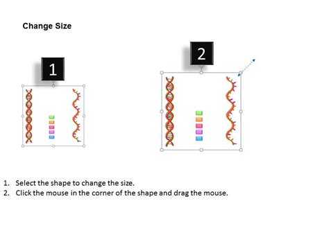 Structure DNA And RNA Molecule Medical Images For Powerpoint