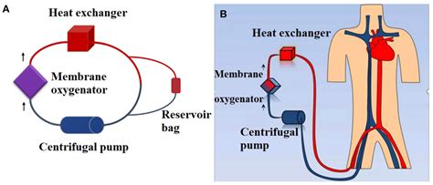 Ecmo Circuit Diagram