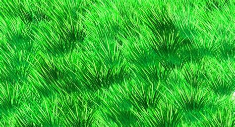 Premium Photo Wallpaper Colourfull Abstract Background Design