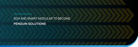 SMART Modular Industrial DRAM Module Industrial Flash Product Industrial RUGGED SSDs