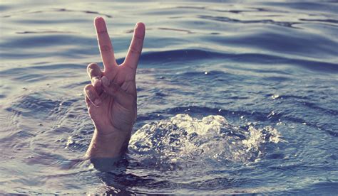 Взлеты и падения дизайнера Verovski