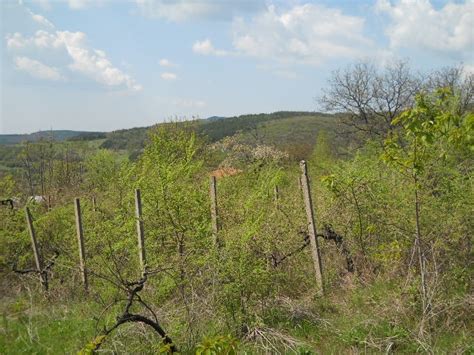 Продава ПИ Стара Загора Ново село