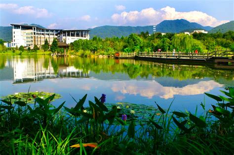 Zhejiang Aandf University Zafu China Admissions