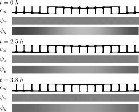 Figure 4 From A New Analysis Of The Microstructure Of Ni Based Single Crystal Superalloys