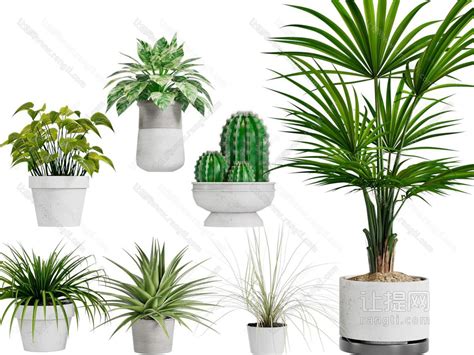 现代盆栽植物3d模型下载模型id98189 让提网
