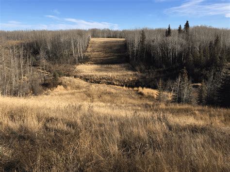 Pipeline Permit Application Integrated Sustainability