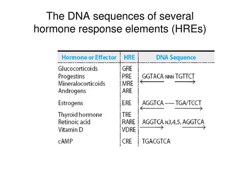Ppt Mekanisme Kerja Hormon Powerpoint Presentation Free Download Id 2013465