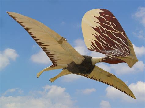 Tupandactylus Pictures And Facts The Dinosaur Database