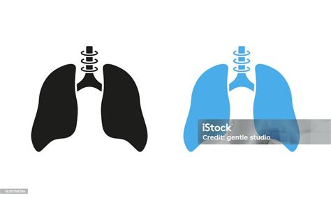 폐 인간 내부 장기 픽토그램 세트 건강한 기관지 호흡기 계통 라인과 실루엣 아이콘 흰색 배경에 호흡 질환 기호 모음입니다 격리된 벡터 그림 건강 진단에 대한 스톡 벡터 아트