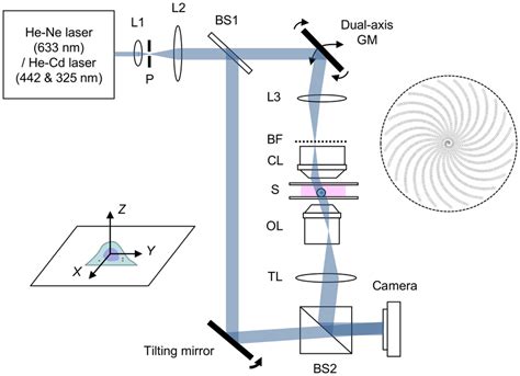 Schematic Layout Of The Regularized Tomographic Phase Microscope Rtpm Download Scientific