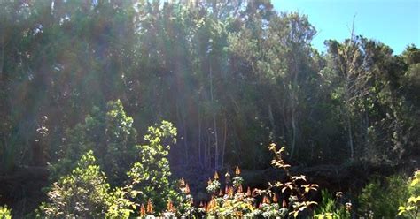 Aprender A Programar Con Python La FunciÓn Main