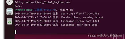 Open Vswitch的基本操作（详细教程） Csdn博客