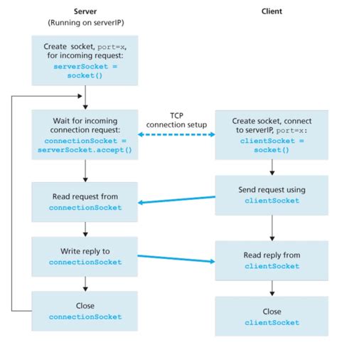 How I Built A Simple Server From Scratch Using C Dev Community