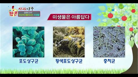 인간의 생존조건 미생물 김응빈 연세대 시스템생물학과 교수 Ytn 사이언스 Youtube