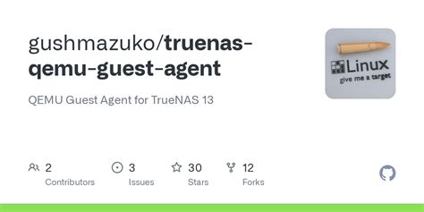 Issues · Gushmazuko Truenas Qemu Guest Agent · Github