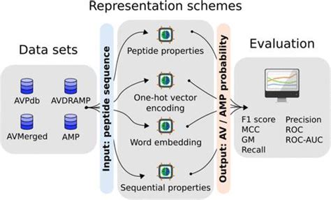 基于循环神经网络的治疗性肽预测的序列属性表示方案 Journal Of Chemical Information And Modeling X Mol