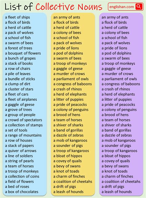 Examples Of Collective Nouns List Englishan