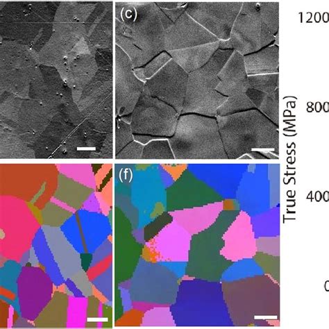 The Torsion Induced Gradient Structure In 304 Steel Af Sem Images