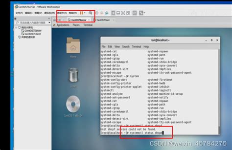 linux中用dns、dhcp和apache搭建服务器，最详细教程 rhe18环境下安模 dns 和apache 服务器 csdn博客