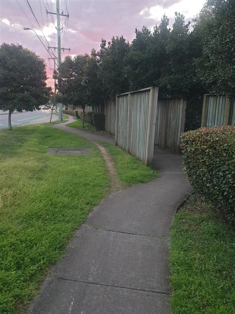 Best Brisbane Australia Images On Pholder Amateur Room Porn City Porn And Whatsthissnake