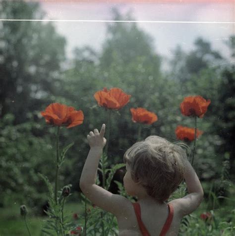 Фото Ребенок с цветущими маками 1970 е История России в фотографиях