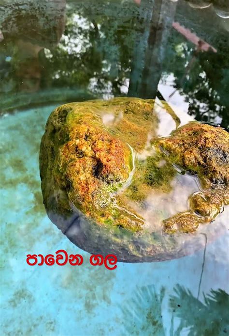 පාවෙන ගල Youtube