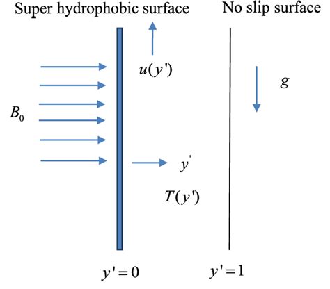 Free Convective Flow Of An Electrically Conducting Fluid Through A Download Scientific Diagram