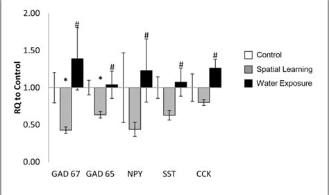 Figure 2 From Amygdala Activation And Gabaergic Gene Expression In