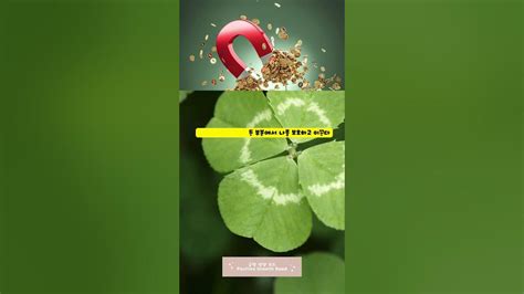 성공 채널 행운의 기류를 따라 부를 끌어당기기 Shorts 동기부여 자기계발 긍정확언 부자 기회 좋은글 명언 행운 긍정의파동 Youtube