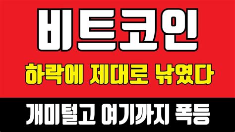 비트코인 전망 하락에 제대로 낚였다 개미털고 여기까지 폭등합니다 Youtube