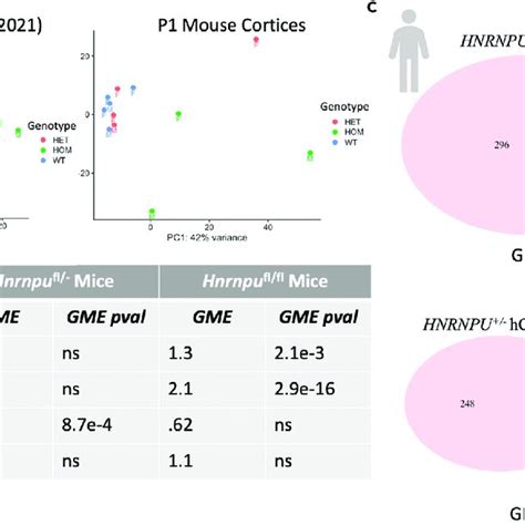 Transcriptomic Signature Of Hnrnpu Related Disorder Diverges In