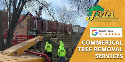 Commercial Tree Removal Service JMA Tree Service