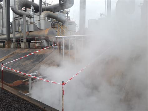 Steam ExplosionsSpectacular Expansions Spectacular Losses Warren Forensics