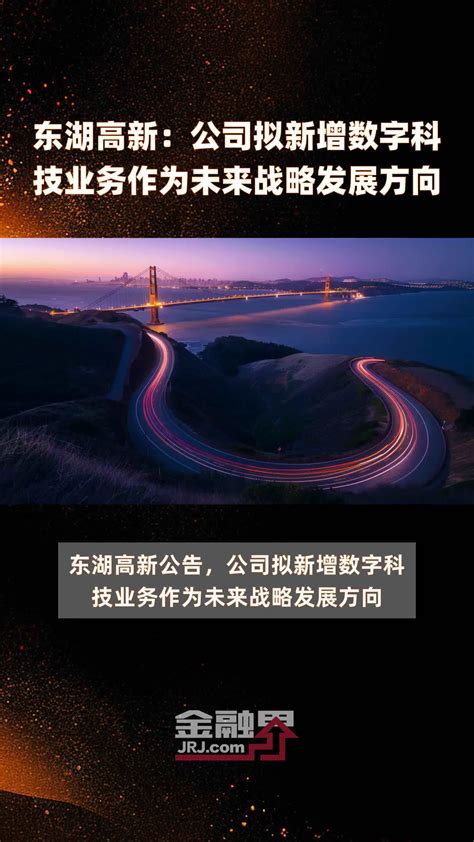 东湖高新公司拟新增数字科技业务作为未来战略发展方向 快报 凤凰网视频 凤凰网