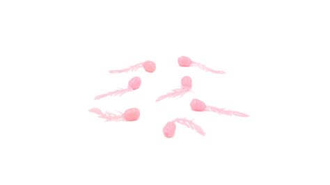Execution Lures