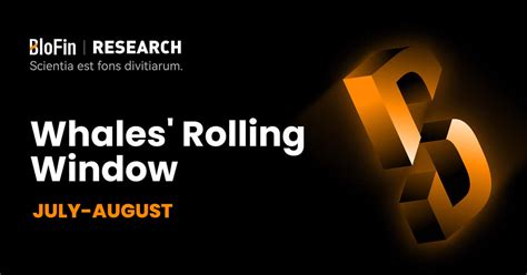 Whales Rolling Window Assassins Rate Cuts And Portfolio Allocation