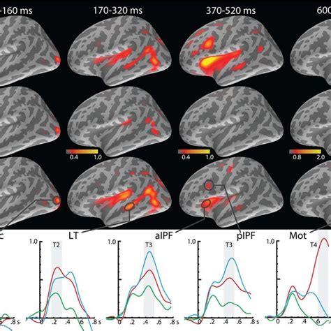 Group Average Maps Of Baseline Corrected Event Related Theta Source Download Scientific